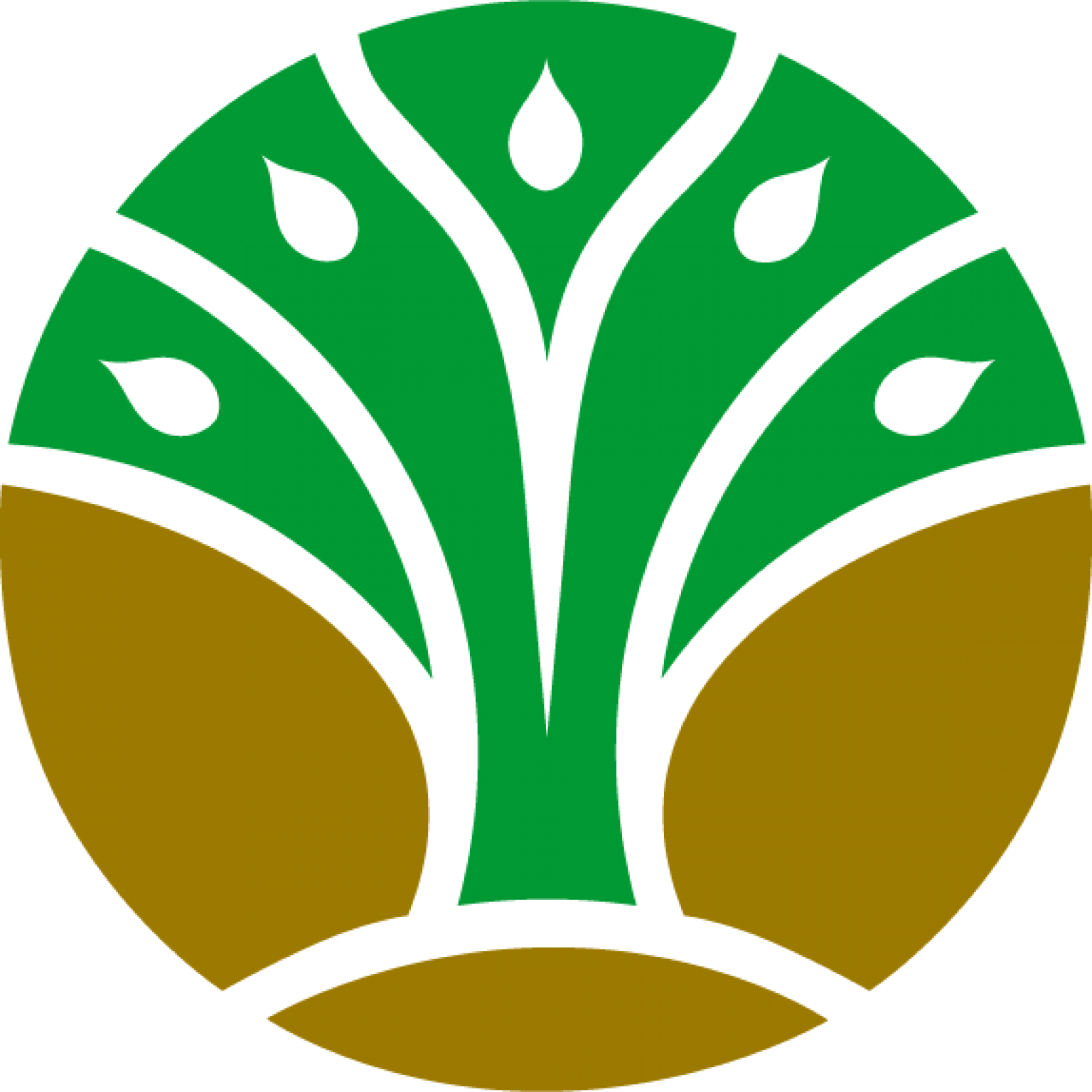 TAMAN NASIONAL GUNUNG MERBABU | TN GUNUNG MERBABU |BTN GUNUNG MERBABU ...